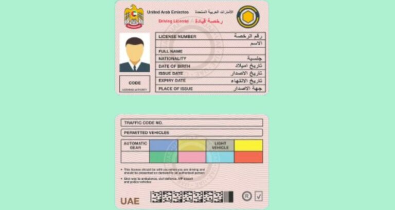Sharjah Trade License Activities List: A Comprehensive Guide - khaleejfeed